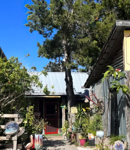 cottage diner florida best ftr