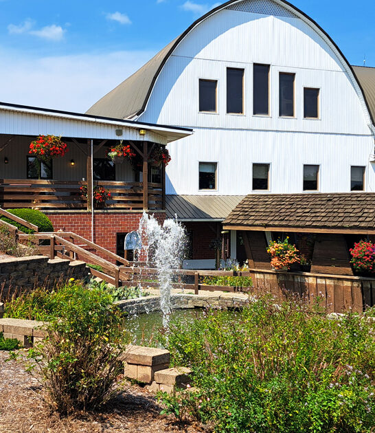 cozy pizza restaurant ohio ftr