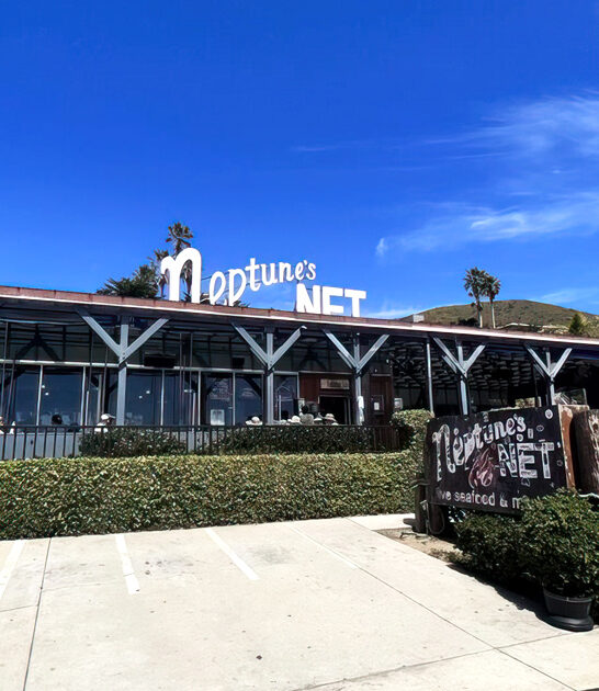 crab cake burger california ftr
