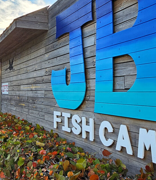 crab cakes florida taste ftr