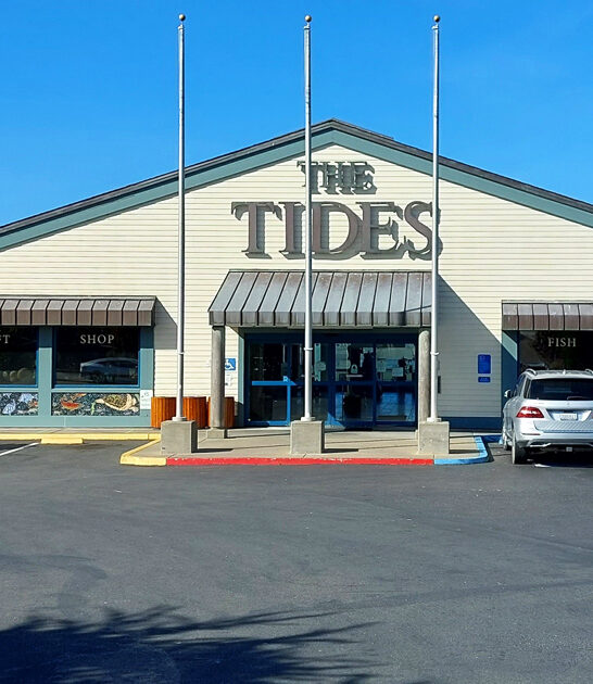 crave fish taco california ftr