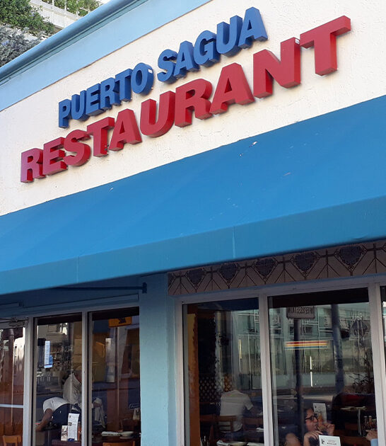 cuban sandwich succulent florida ftr