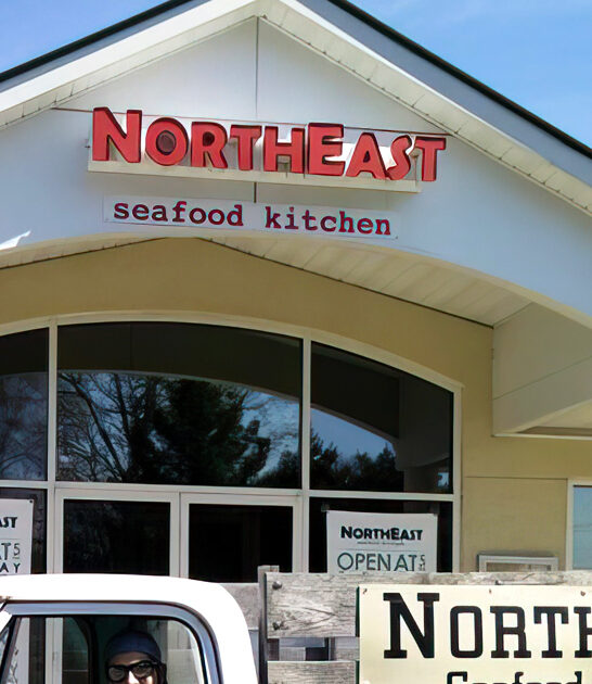 daily crab cakes delaware ftr