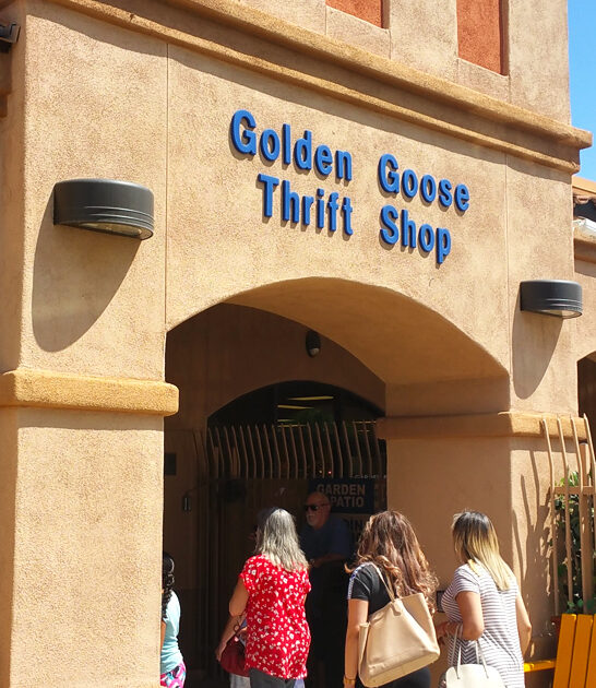 deals secondhand shop arizona FTR