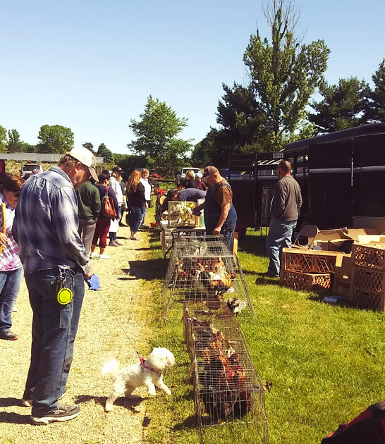 deals swap meets michigan FTR