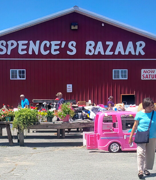 delaware affordable deals market ftr