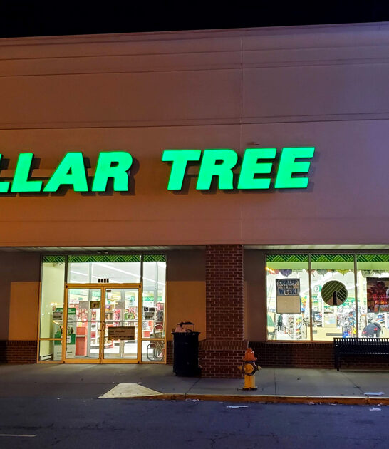 delaware dollar shopping finds ftr