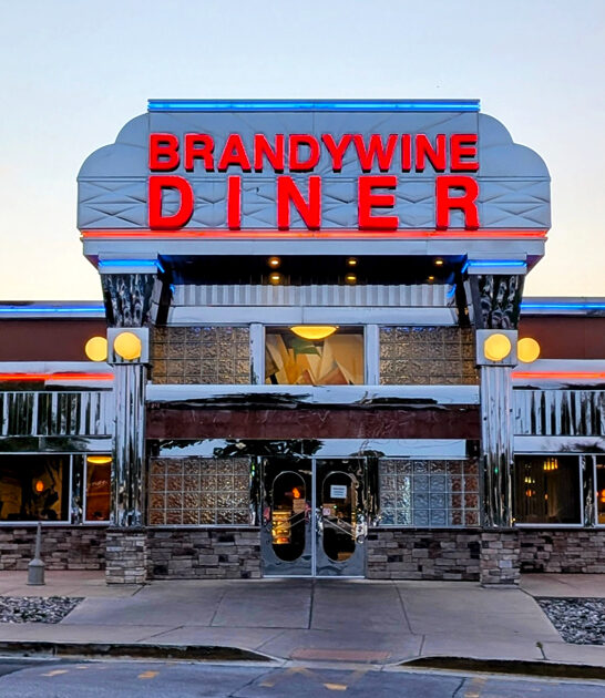 delaware famous diner drive ftr