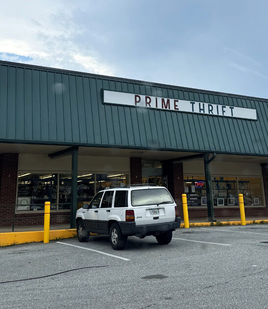 delaware ginormous thrift paradise ftr