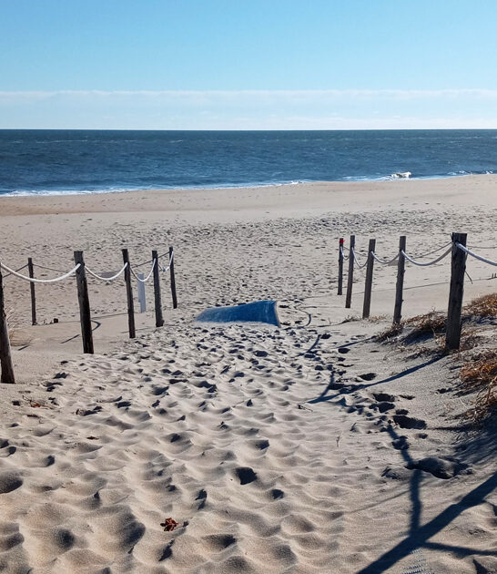 delaware hidden state park FTR