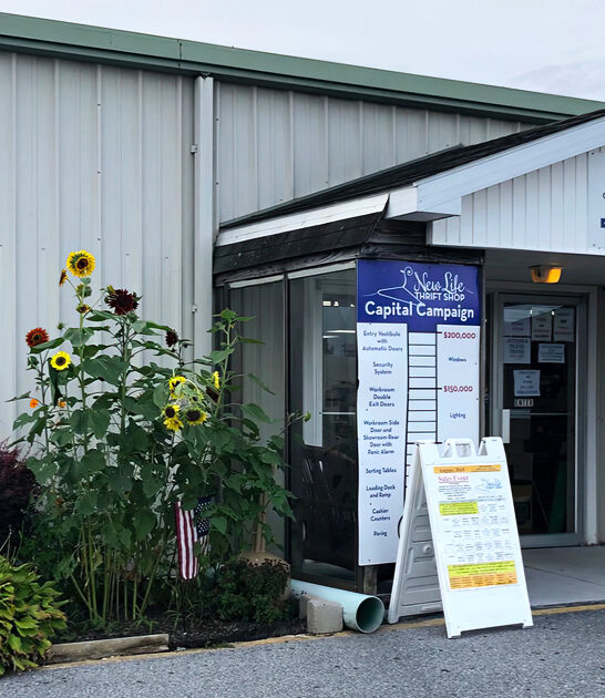 delaware massive secondhand shops ftr