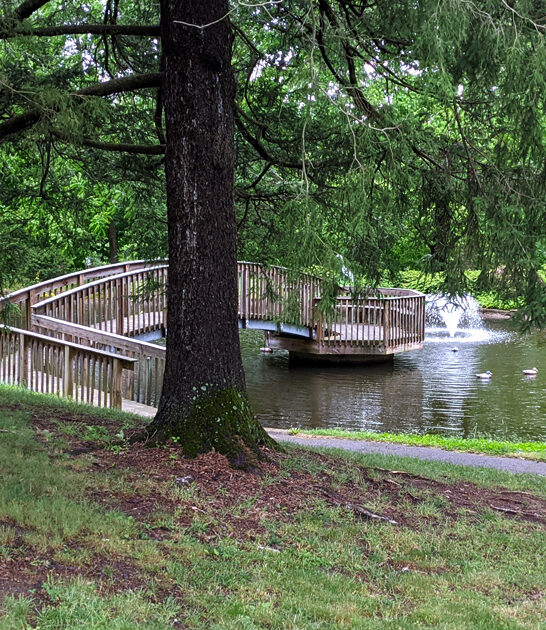 delaware picturesque great park ftr