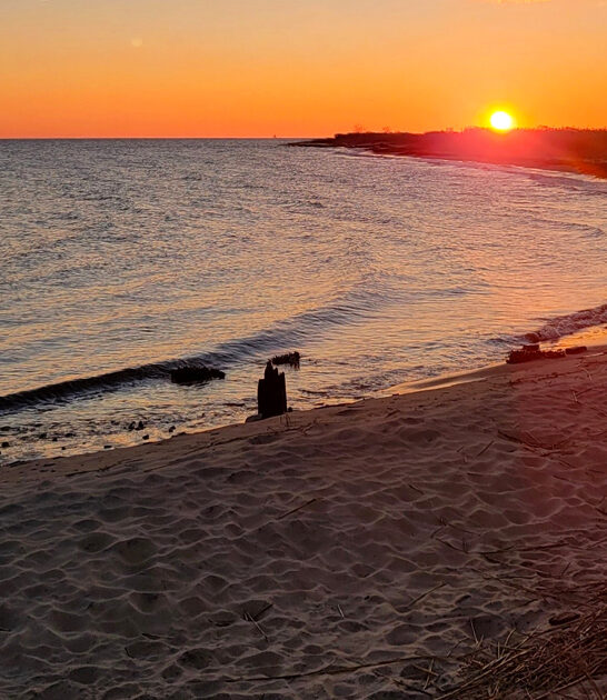 delaware postcard worthy beach ftr