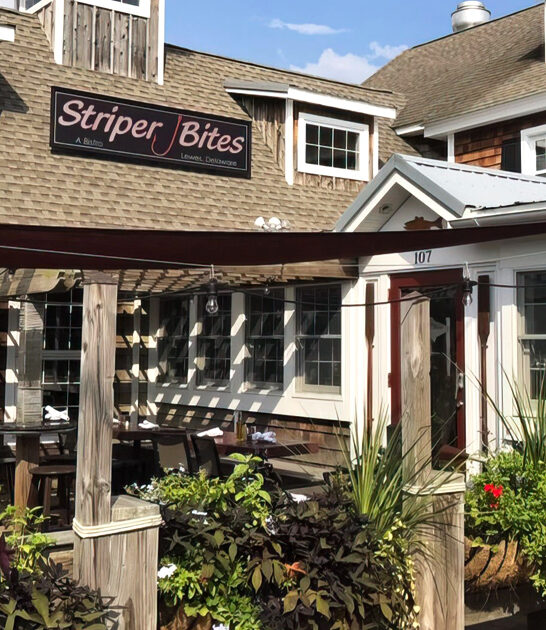 delaware restaurant tuna tartare ftr