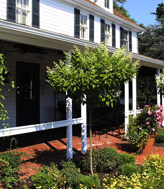 delaware tavern home pie ftr