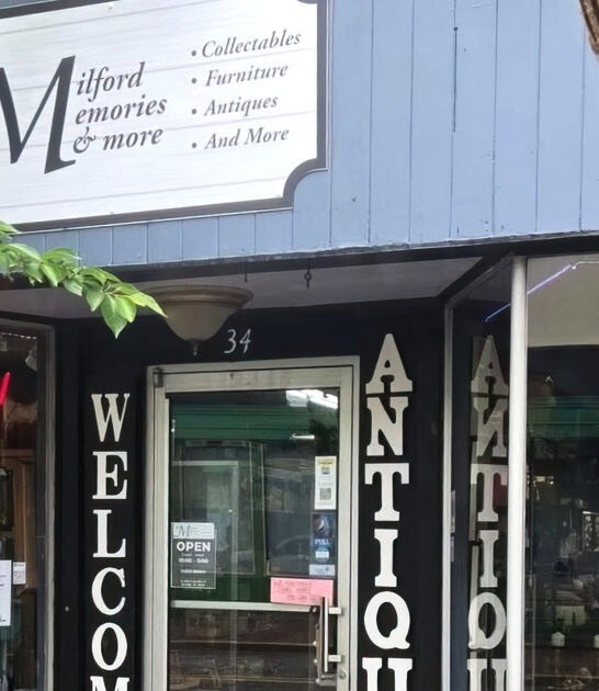 delaware vintage shopping dreams ftr