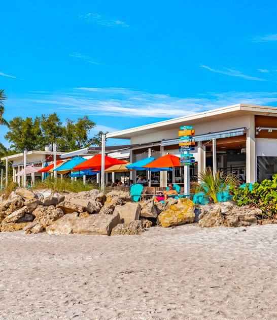 delectable grouper tacos florida ftr