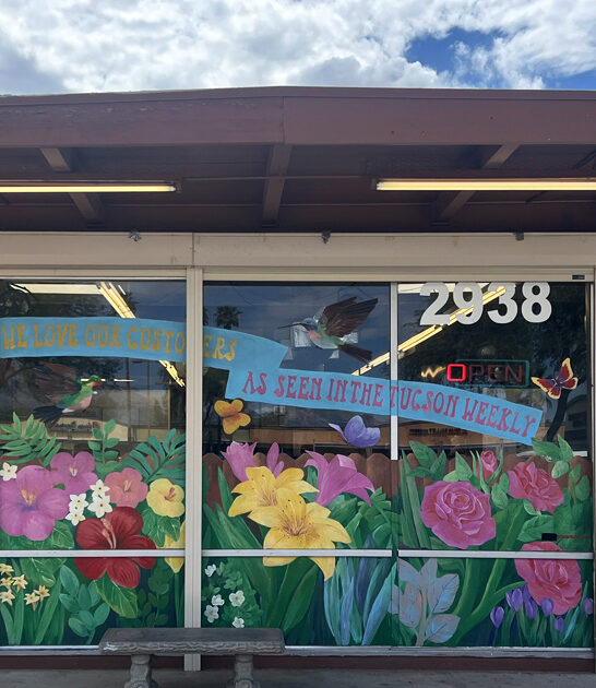 delicious arizona apple pancake ftr