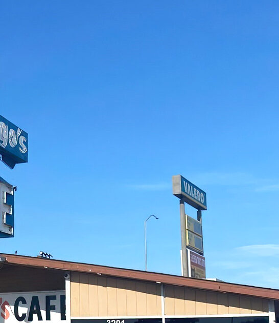 delicious fried steak california ftr