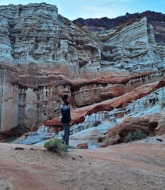 desert state park california ftr