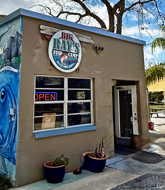 deviled crab succulent florida ftr