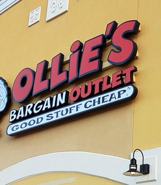 discount amazing stores florida ftr