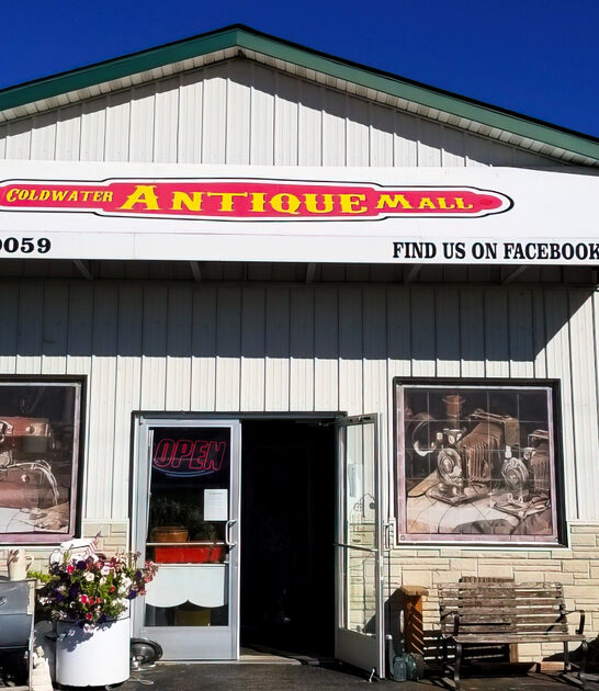 dream antique store michigan FTR