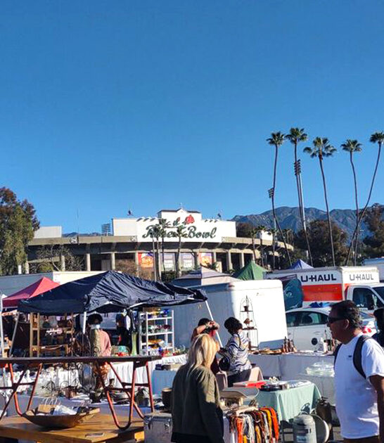 dream flea market california FTR