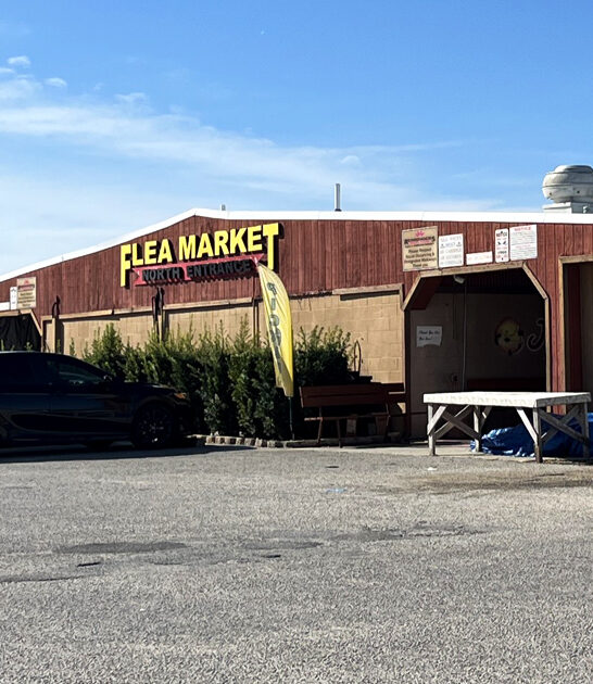 dream market florida bargain ftr