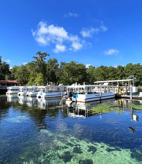 dreamy amazing park florida ftr