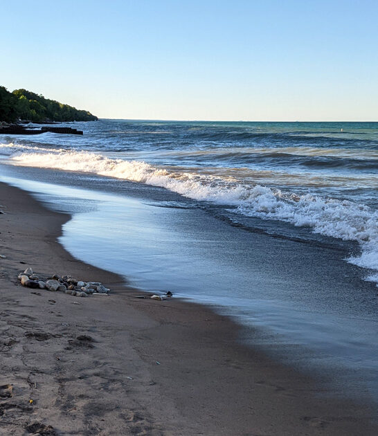 dreamy beach illinois ftr
