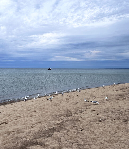 dreamy beach michigan ftr