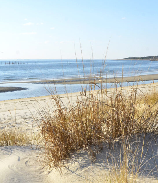 dreamy beach virginia escape ftr