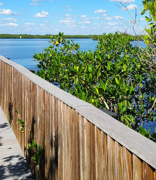dreamy botanical garden florida ftr