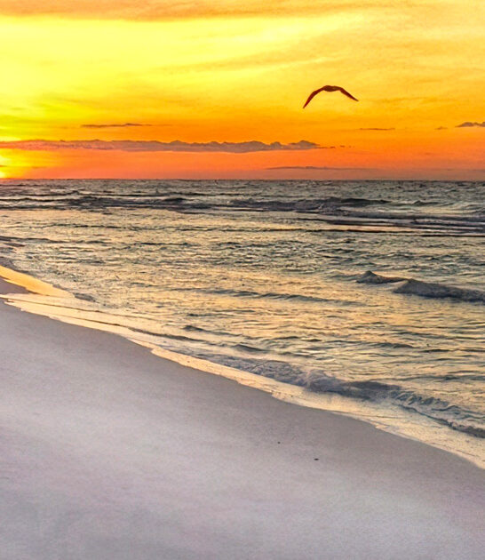 dreamy long beach florida ftr