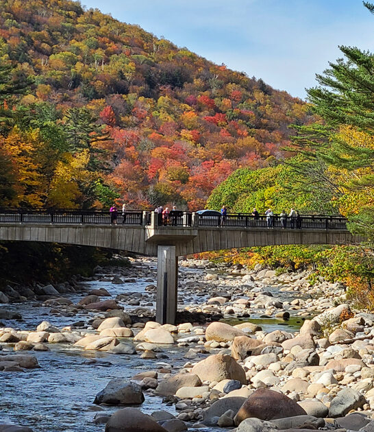 dreamy new hampshire park ftr