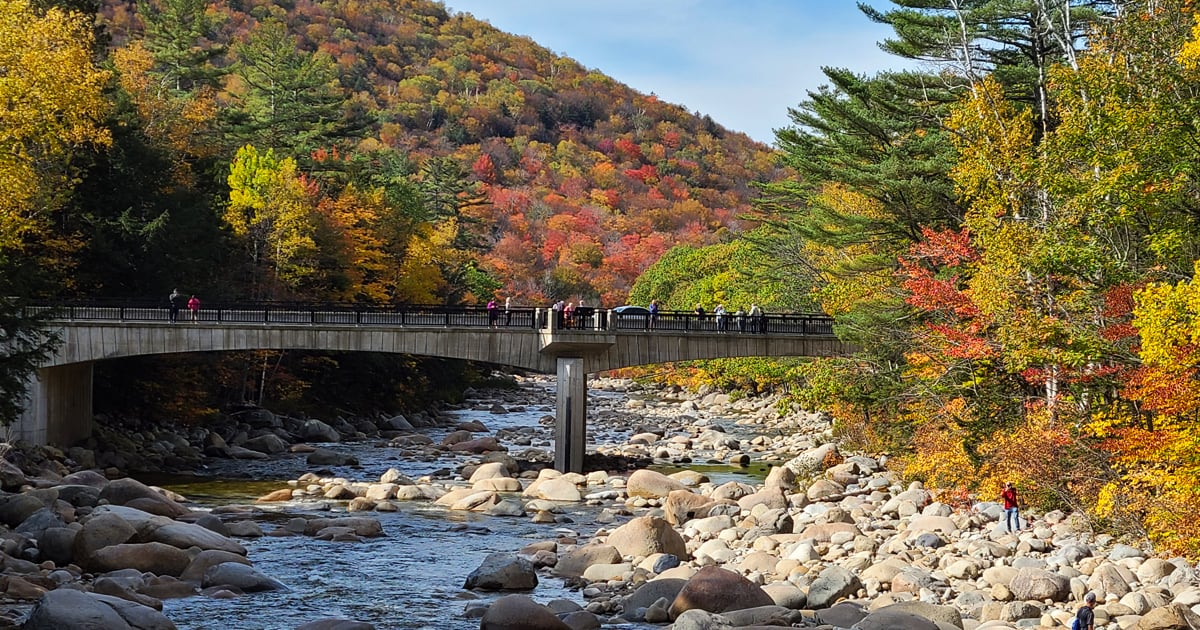 This Dreamy State Park In New Hampshire Feels Like Stepping Into A Real ...