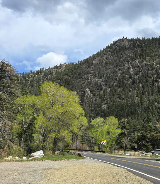 dreamy new mexico park ftr