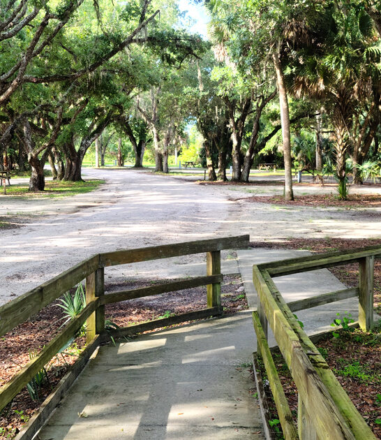 dreamy park florida real ftr