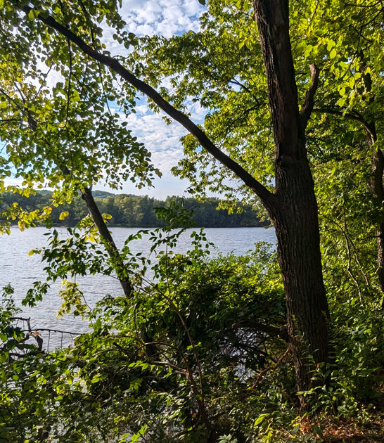 dreamy park illinois trip ftr