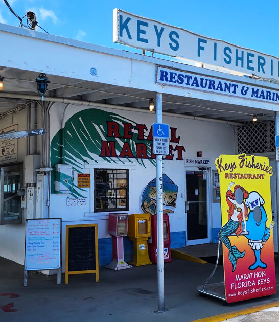dreamy seafood deli florida ftr