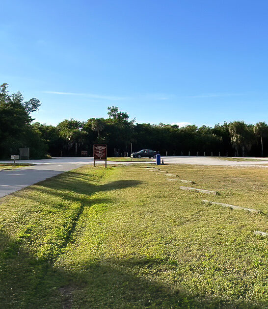dreamy state florida park ftr
