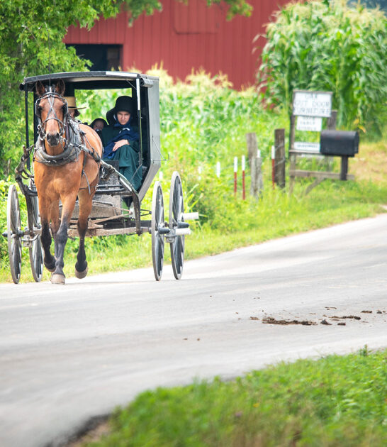 dreamy tennessee amish town ftr