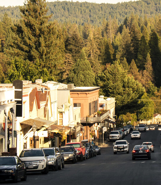 dreamy trip california wish ftr