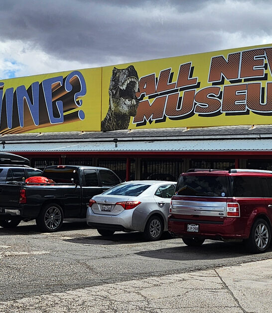 drive arizona bizarre roadside ftr