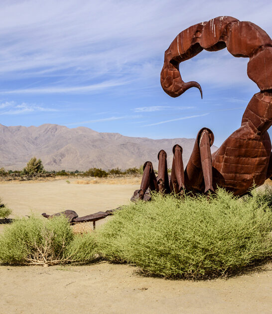 drive california bizarre sculpture ftr