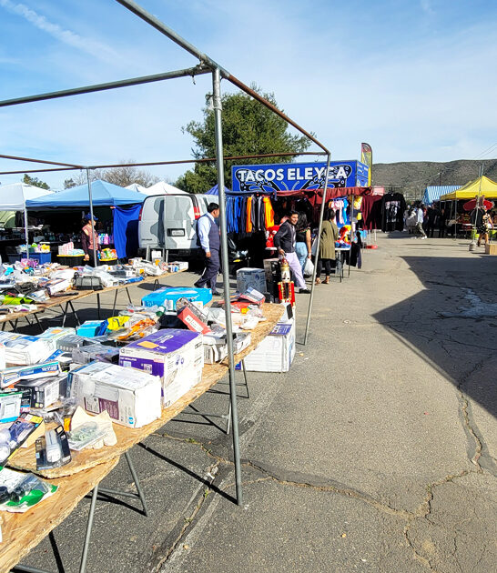 drive california crazy flea ftr