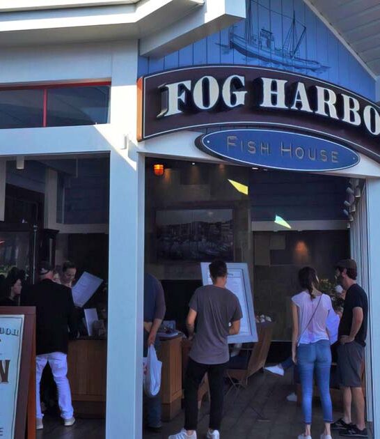 drive california mussel fries ftr