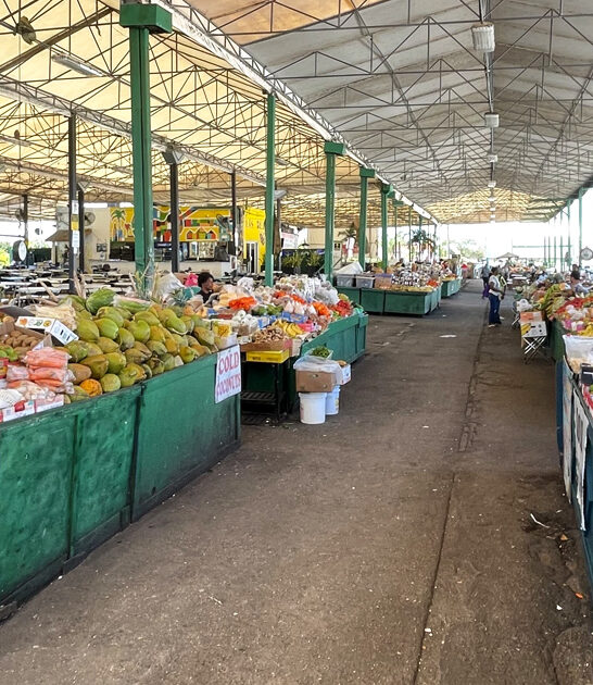 drive florida flea market ftr