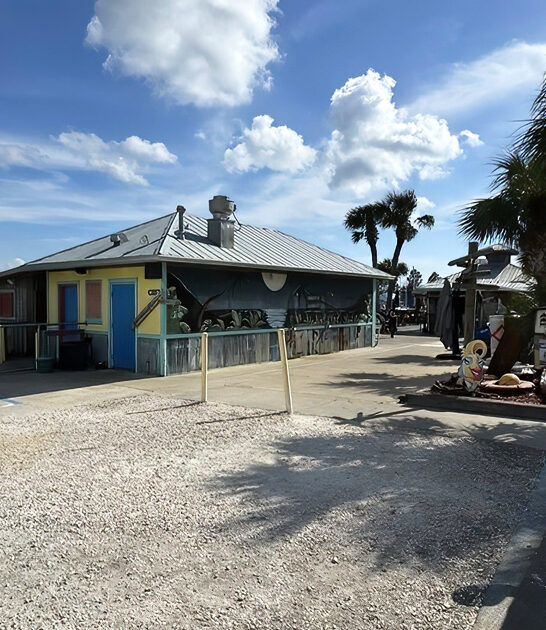 drive florida hush puppies ftr